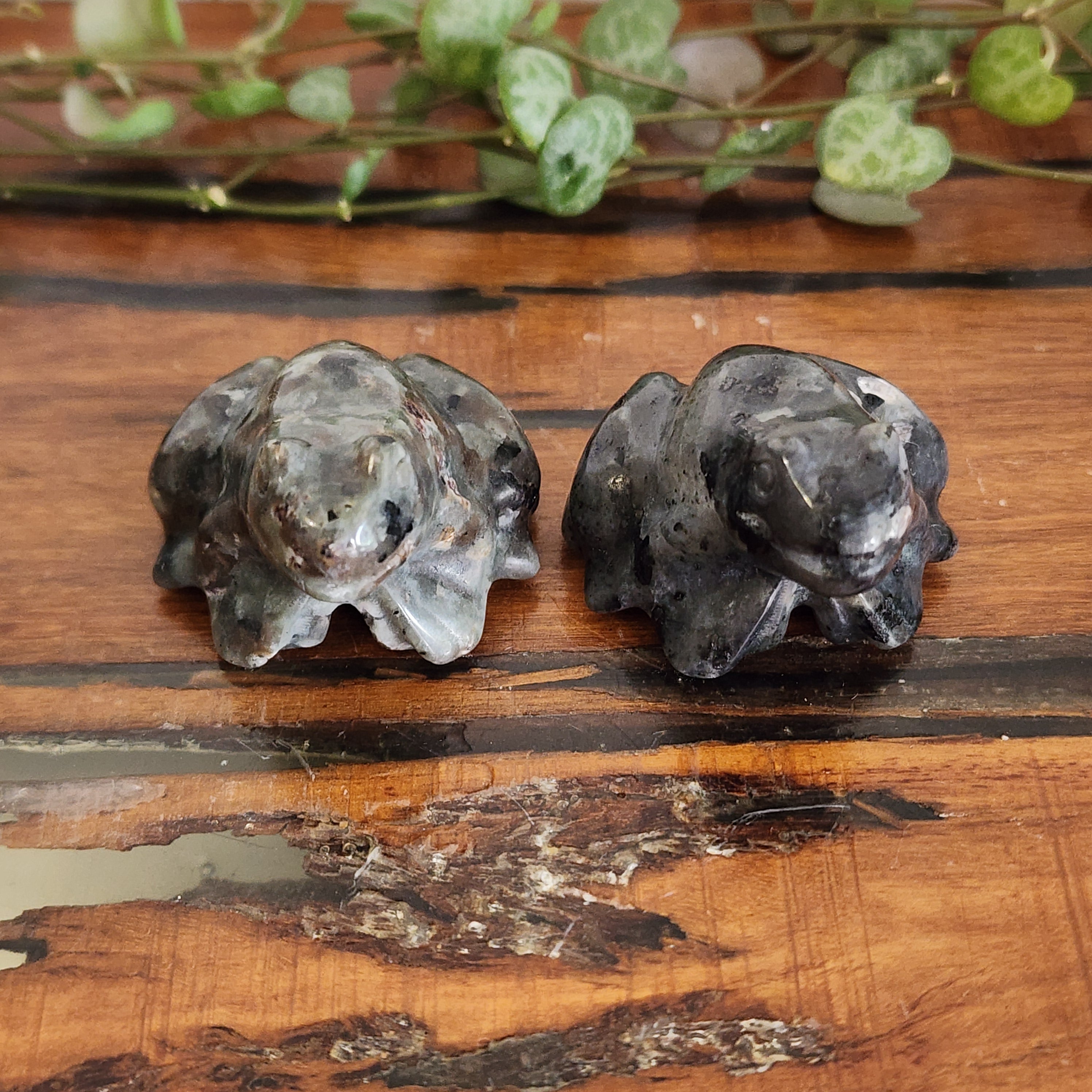 Larvikaite - Frog – Mel'z Place