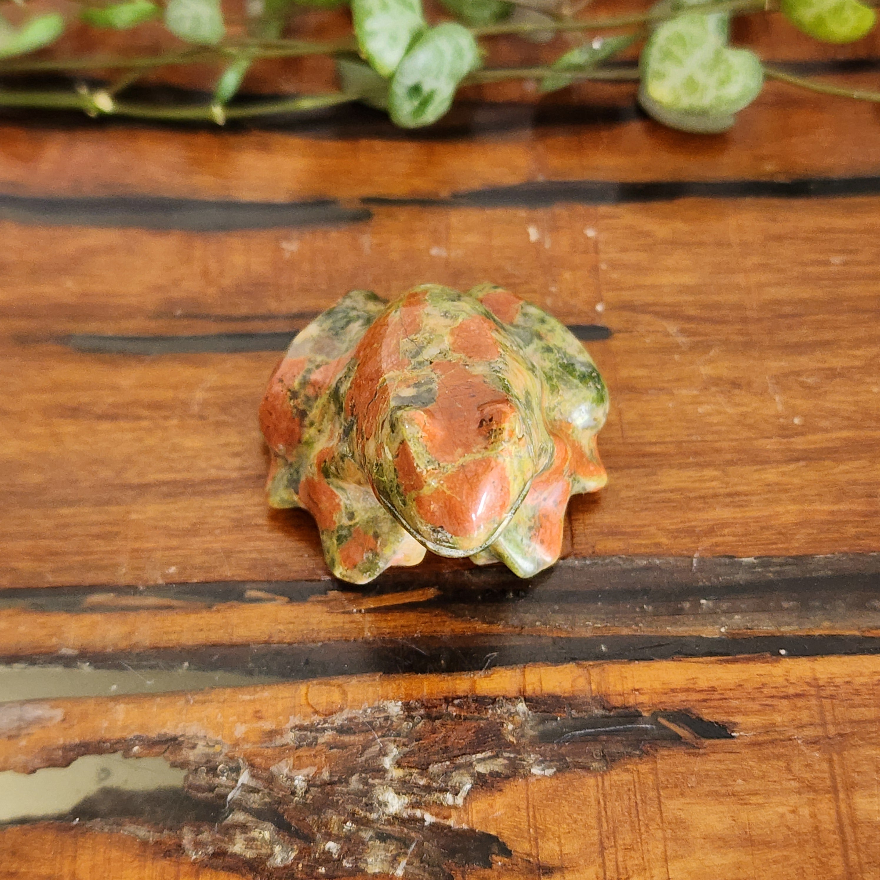 Unakite - Frog – Mel'z Place
