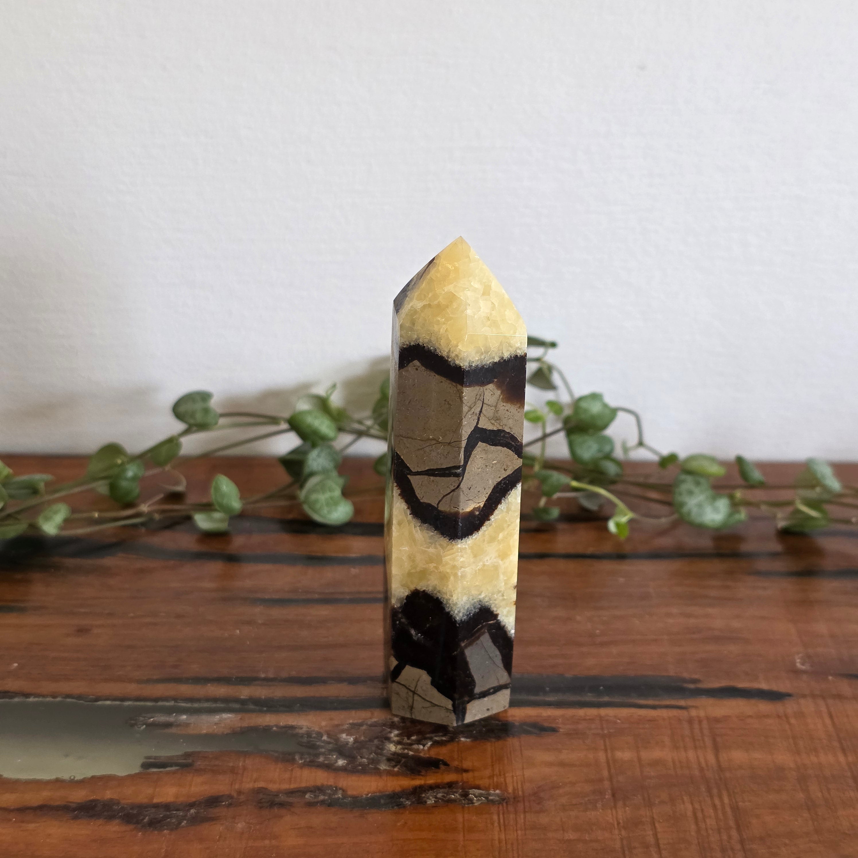 Septarian - Tower – Mel'z Place