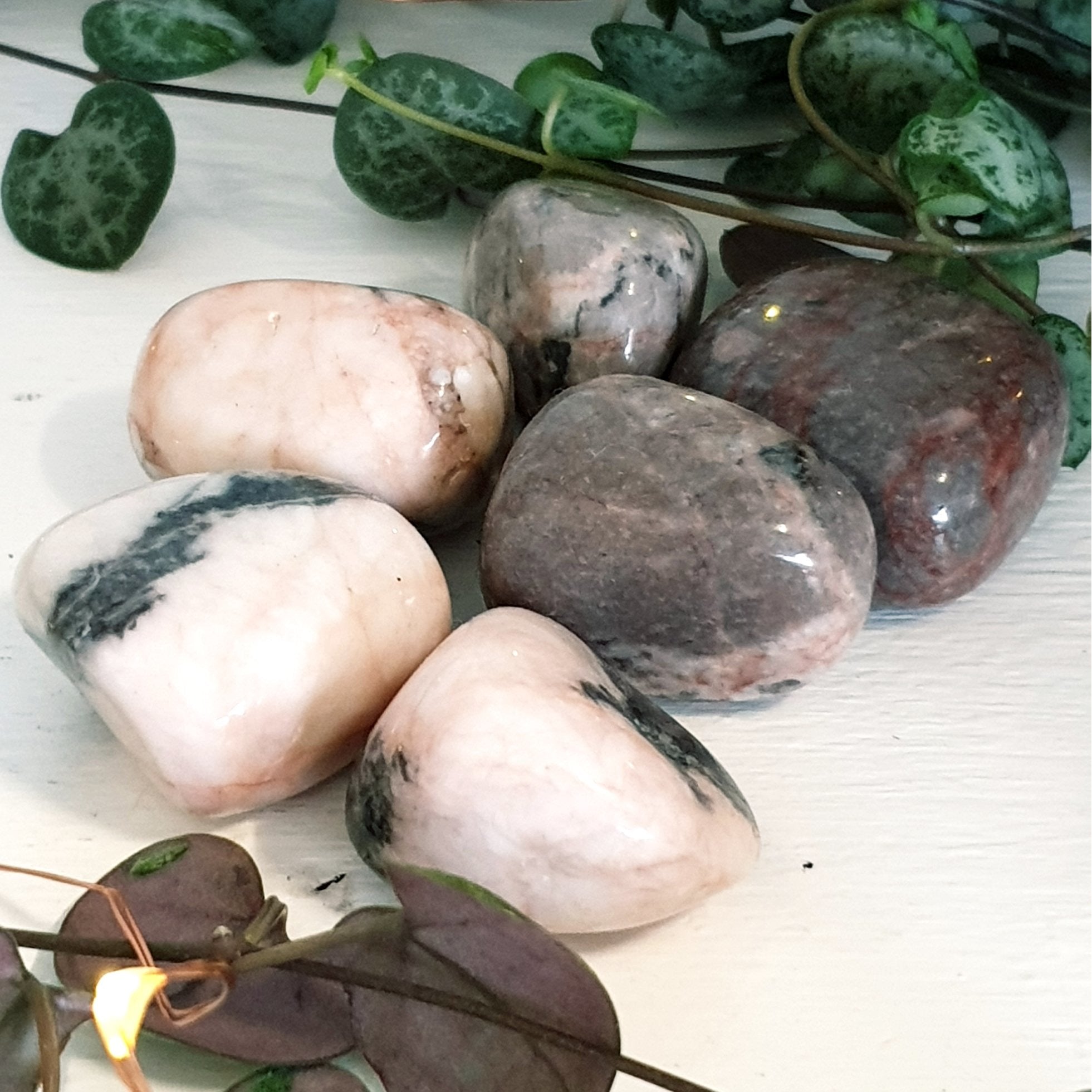 Pink Zebra Jasper - Tumbled – Mel'z Place