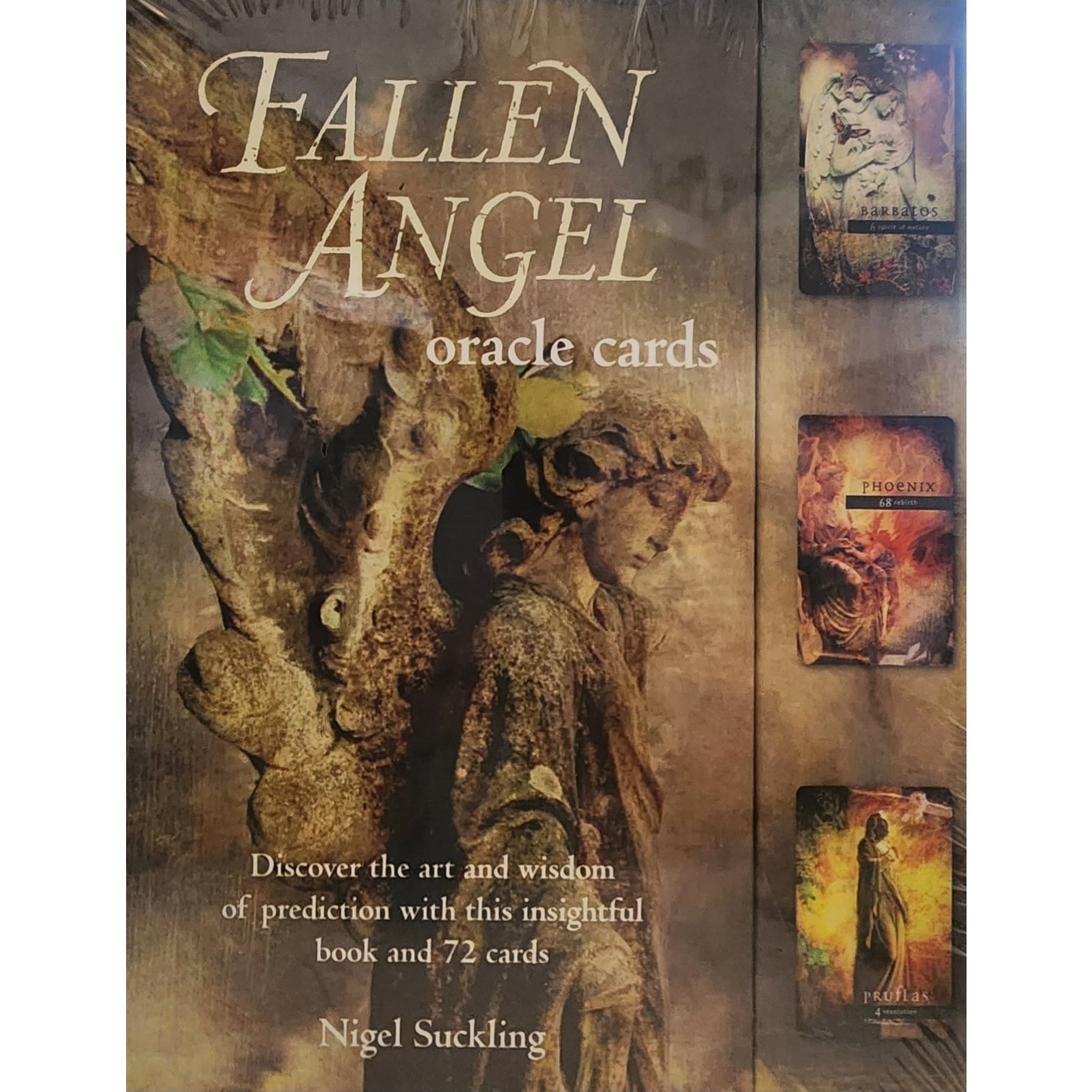 Fallen Angel Oracle Cards – Mel'z Place